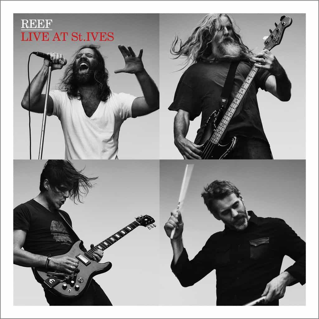 Rockers Reef Speak to The MALESTROM » The MALESTROM