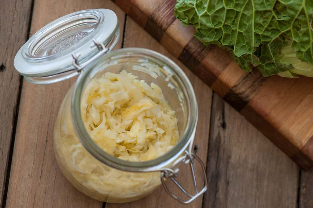 Feel Good With Fermented Foods » The MALESTROM