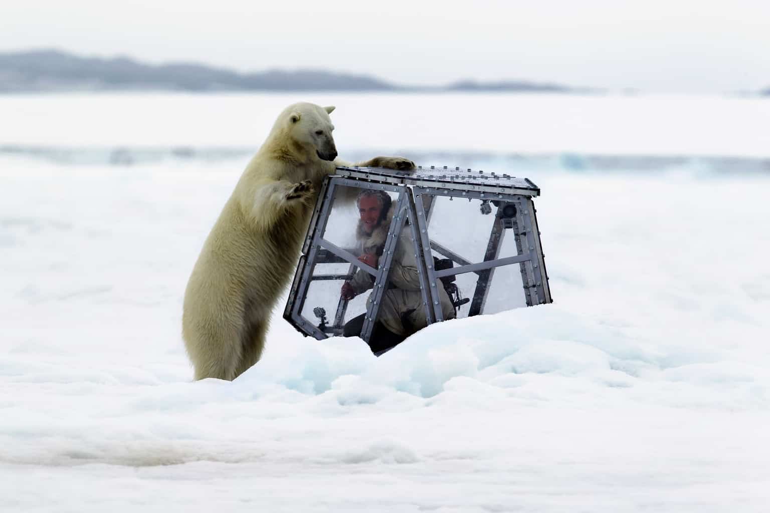 Gordon Buchanan: Camera's, Wildlife & Me » The MALESTROM