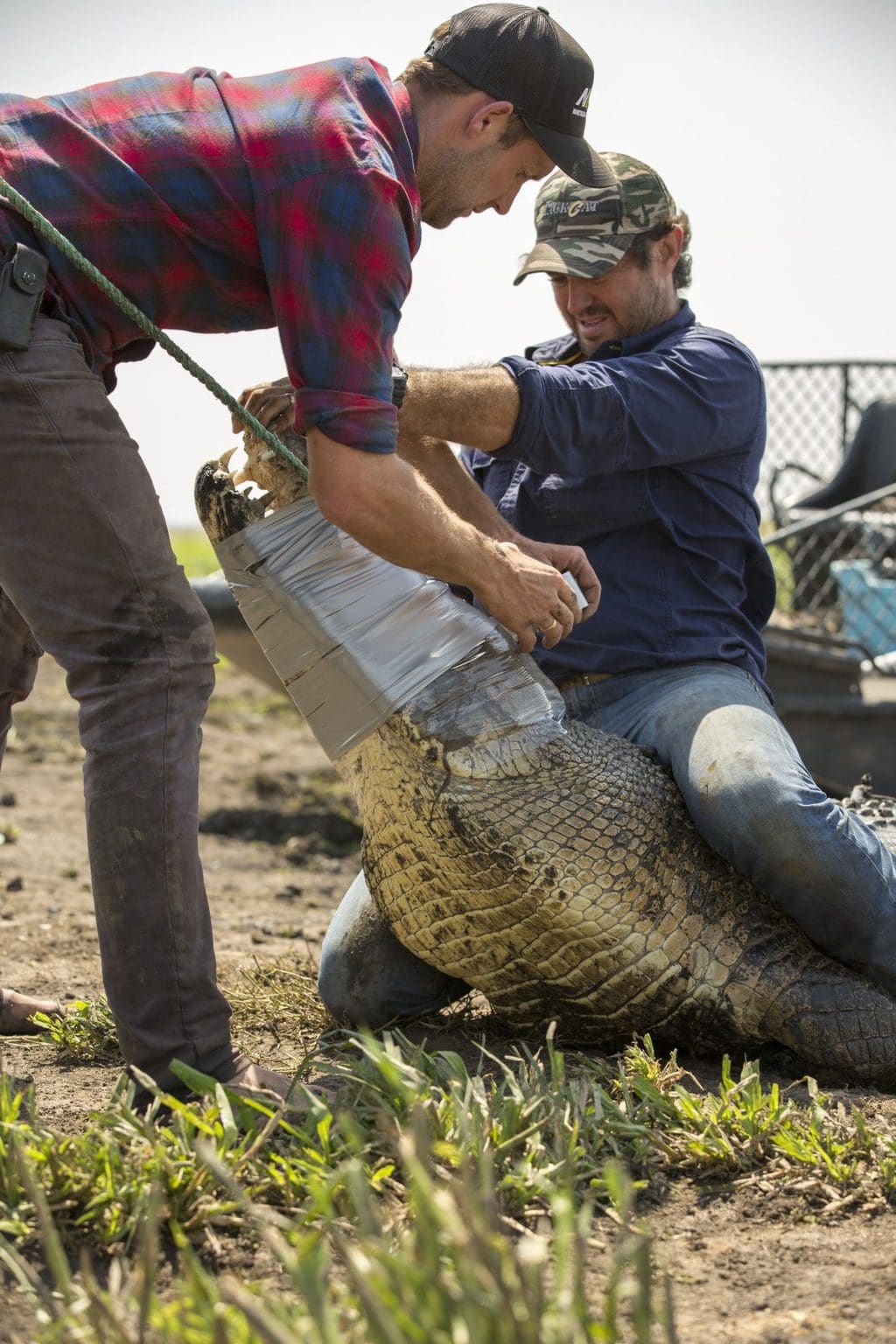Interview with Monster Croc Wrangler Matt Wright » The MALESTROM
